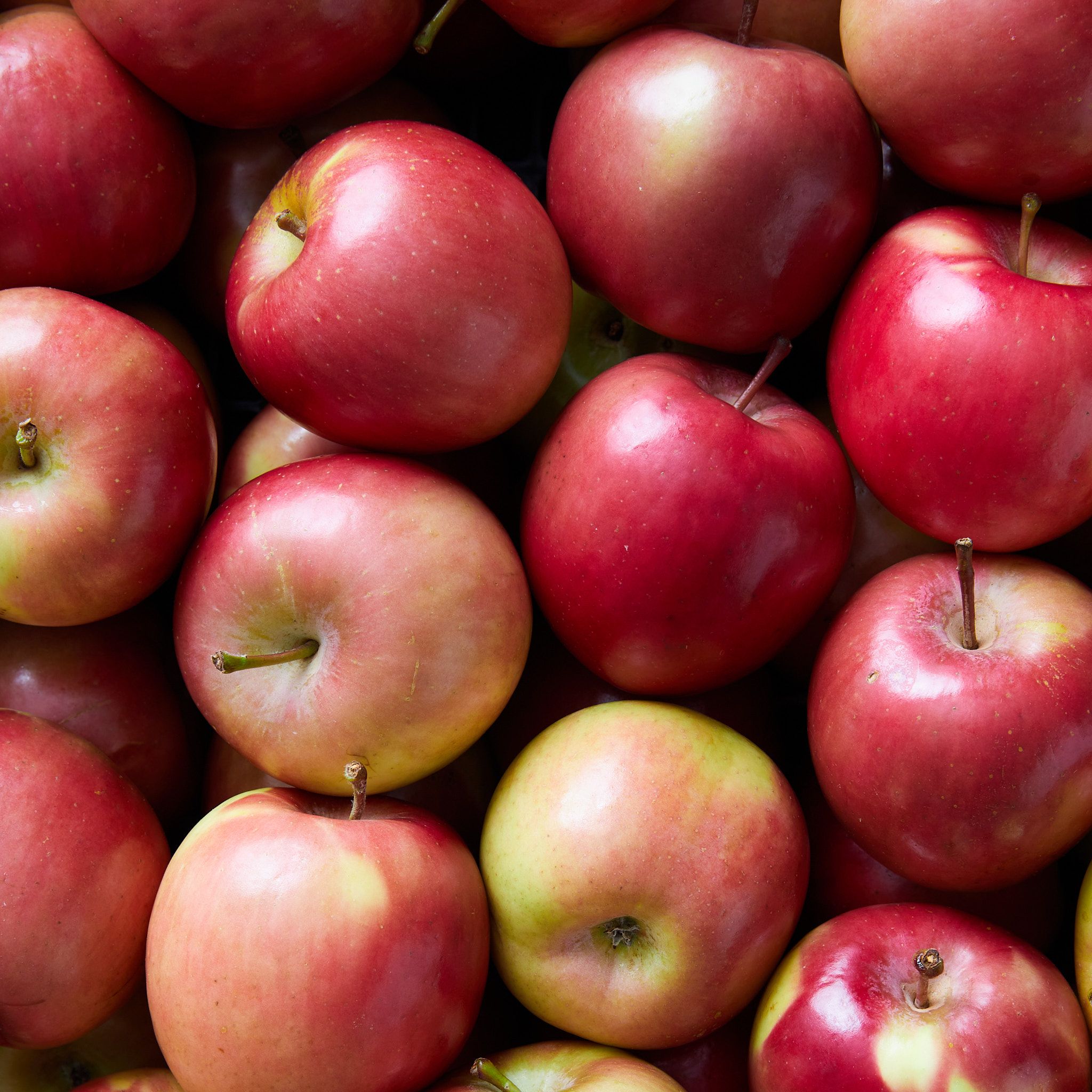 Fuji Apples - Half Box - 20 lbs. – A FARM+HOUSE MARKET